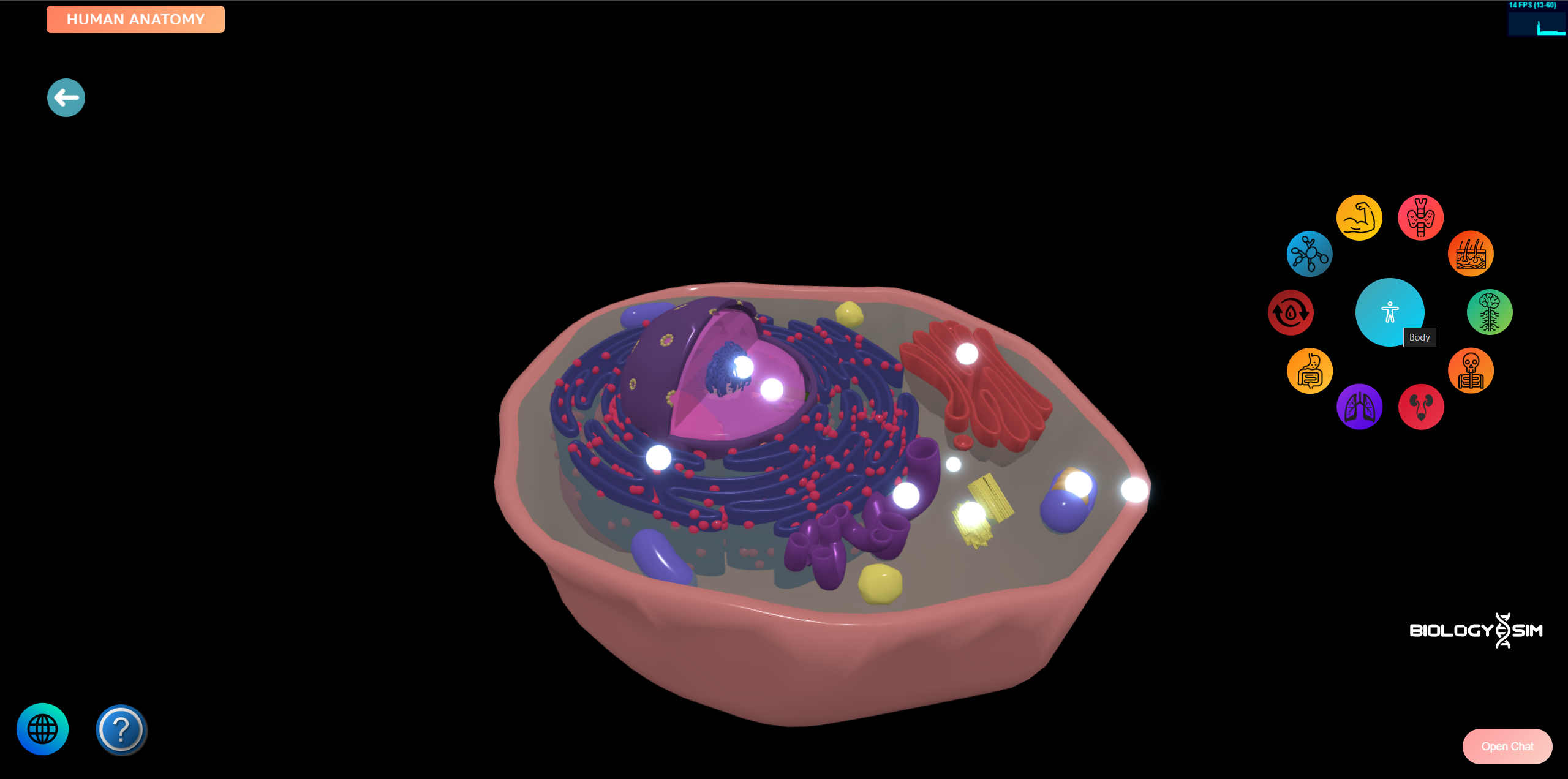 Biology Simulation | Home